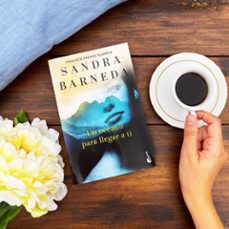 UN OCEANO PARA LLEGAR A TI | SANDRA BARNEDA | Booket | Casa del Libro