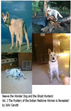 NEEWA THE WONDER DOG AND THE GHOST HUNTERS | Casa del Libro