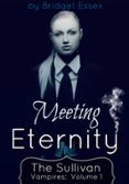 MEETING ETERNITY (THE SULLIVAN VAMPIRES, VOLUME 1) de | Casa del Libro